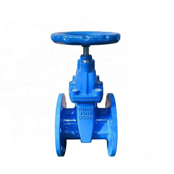 Quality 150-2500 Pressure DI Gate Valve API 598 Class Flanged End Blue for sale