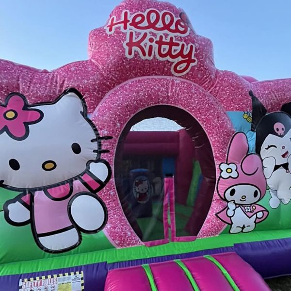 Quality PVC Cartoon Pink Inflatable Bouncer House Slide with CE/EN71/EN14960 Certificate for sale