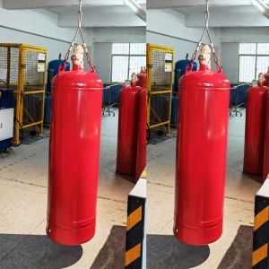 Quality Museum FM200 Cylinder Convention And Exhibition Center Fire Suppression System for sale