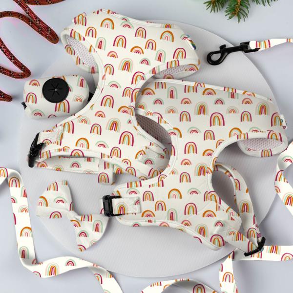 Quality Polyester Dog Leash Harness Set Personalized Dog Collar And Lead Set for sale