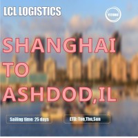 Quality WIFFA LCL Sea Freight Service From Shanghai To Ashdod Israel Mediterranean for sale