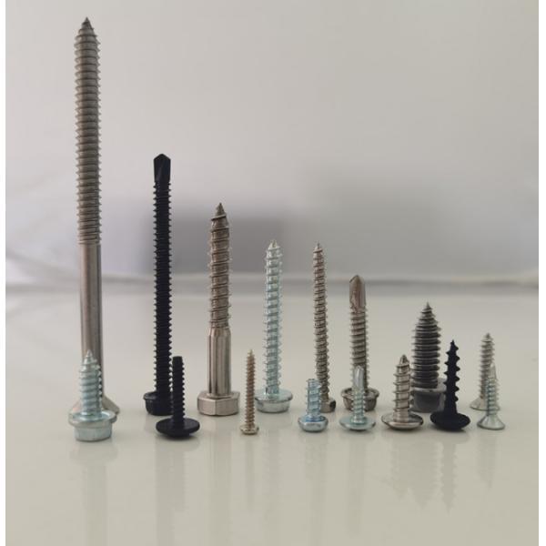 Quality Self Drilling Screws Self Tapping Screw Wood Screw for sale