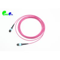 Quality 12F MTP-MTP Simplex Multi mode OM4 Trunk Fiber Patch Cord With Rose Red Cable for sale