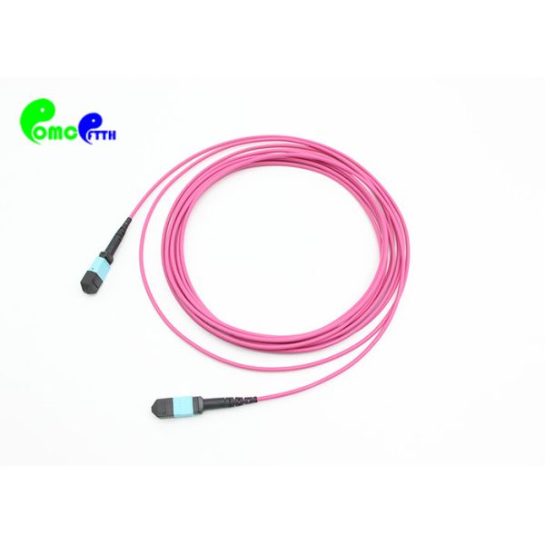 Quality 12F MTP-MTP Simplex Multi mode OM4 Trunk Fiber Patch Cord With Rose Red Cable for sale