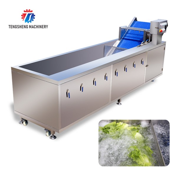 Quality 3KW Bubble Circulating Surfing Fruit And Vegetable Washing Machine Ozone for sale