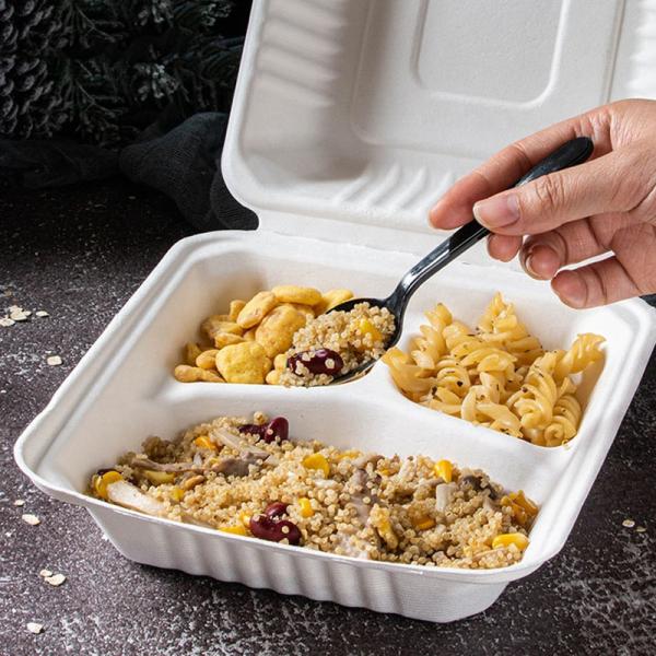 Quality 8in 9in Biodegradable Sugarcane Bagasse Clamshell Freezable Fast Food Container for sale