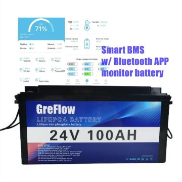 Quality 6000 Times 2560WH 24V Lifepo4 Battery Pack 24V 100Ah With Prismatic Cell for sale
