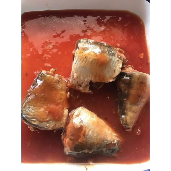Quality Tightly Packed Healthiest Canned Fish , Tinned Sardines In Tomato Sauce for sale
