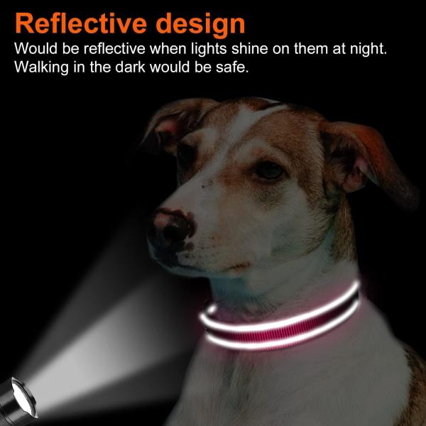 Quality Adjustable Waterproof Flashing Light Up Dog Collar for Nighttime Walking for sale