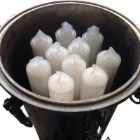 Quality Sanitary cartridge filter with housing for water treatment Stainless Steel 316L for sale