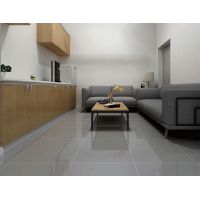 Quality 60x60cm Light Grey Polished Porcelain Floor Tile 9.5mm for sale