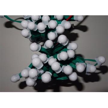 Quality 12mm Open Hole LED Pixel Lamp / SK6812 IP68 LED Pixel String With All Green Wire for sale