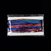 Quality ISO9001 Colorful Creative Plastic Party Fringe Curtain Customization for Festive for sale