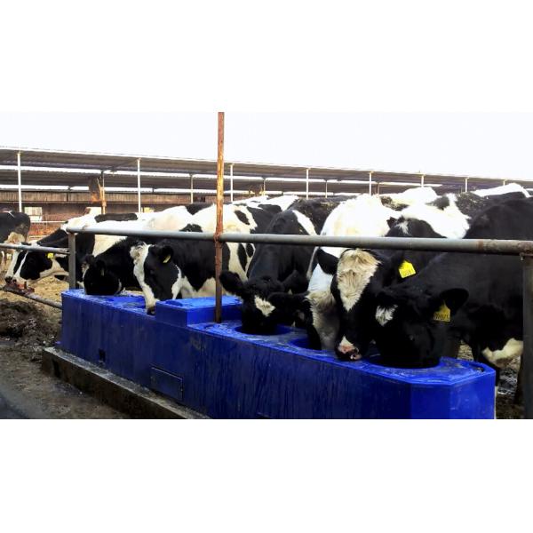 Quality ISO9001 LLDPE L4000mm 220L Livestock Water Tank for sale