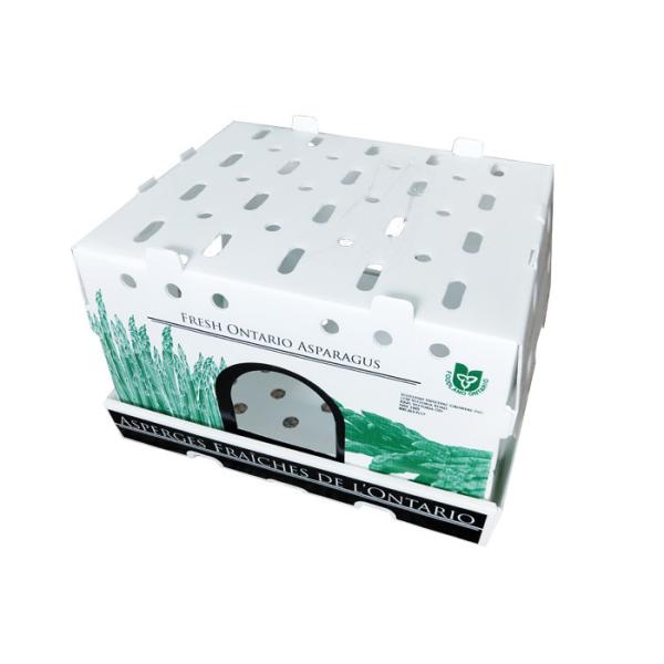 Quality 11lbs Folding Asparagus Corrugated Plastic Box for sale