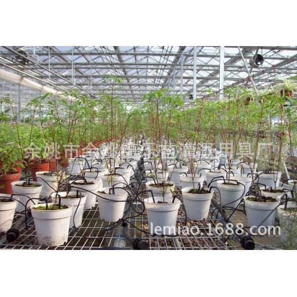 Quality Customizable Drop Arrows for Pot Farm Irrigation Agriculture Irrigation for sale