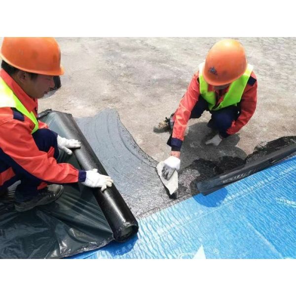 Quality Cross Layer Film Adhered Waterproof Membrane for Building Roof and Railway for sale