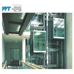 Quality VVVF Control Panoramic Glass Elevator Adopts Gearless Drive Load 630-1600KG for sale