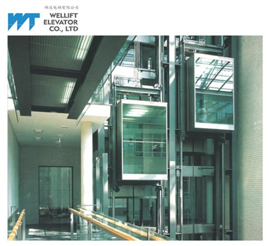 Quality VVVF Control Panoramic Glass Elevator Adopts Gearless Drive Load 630-1600KG for sale