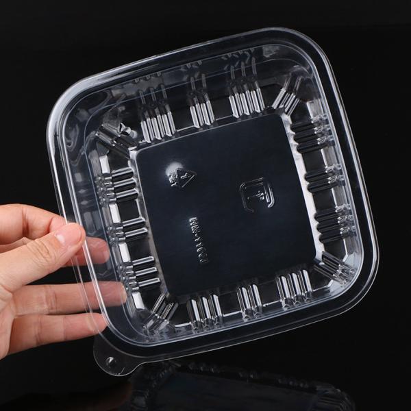 Quality Clamshell Blister Packaging Tray Customized Disposable Clear for sale