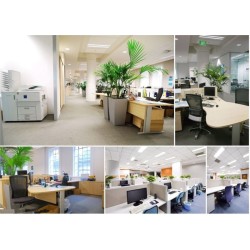China Factory - Wujiang Idear Textile Co., Ltd