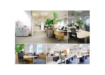 China Factory - Wujiang Idear Textile Co., Ltd