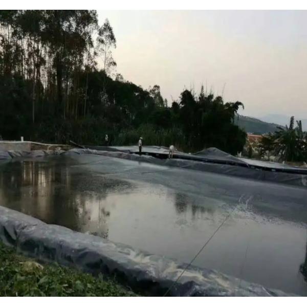 Quality 1.5 Mm Waterproof Hdpe Dam Liners Geomembrane Sheet for sale