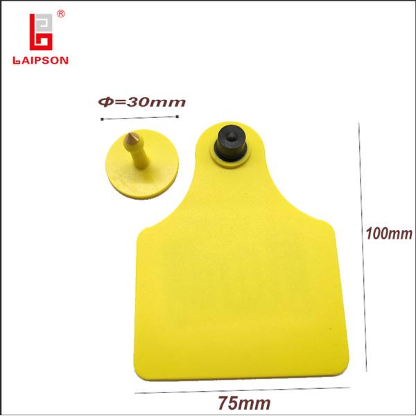 Quality 100mm Tamperproof Rfid Uhf Cattle Bovine Ear Tag With 6 Meters Range for sale