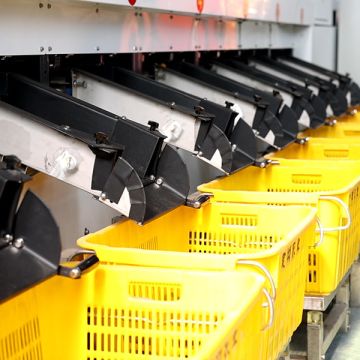 Quality Single Channel High Output Fruit Sorting Machine For Tangerines for sale