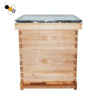 Quality China Fir 20mm 8 Frame Langstroth Bee Hive for sale