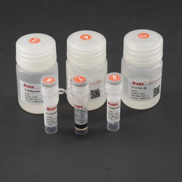 Quality 10 mg/mL Magnetic Beads For Immunoprecipitation For Target Capture for sale