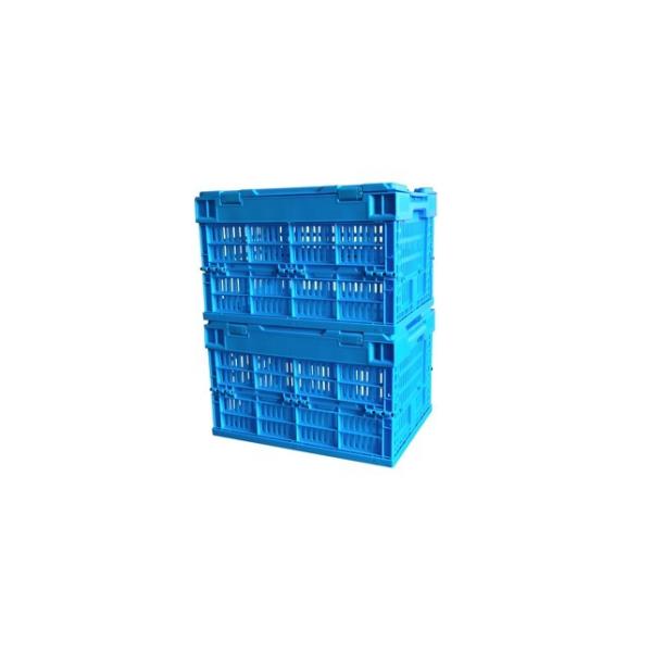 Quality Impact - Resistance Collapsible Fruit And Vegetable Plastic Crates With Lids for sale