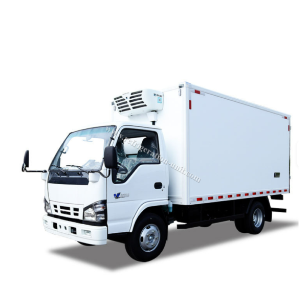 Quality Isuzu 100p Japan Brand Truck chassis with 4.1 meters length refrigerated box with THERMO KING refrigeration units RV380V  4X2 Mini 3tons 2 Ton Freezer Refrigerated Truck for sale