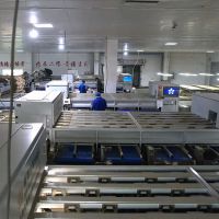 Quality Food Grade Inshell Chestnut Sorting Machine 6 Channels for sale