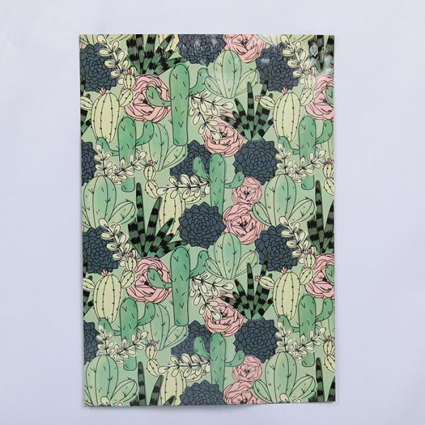 Quality Custom Biodegradable Poly Mailers for E-commerce Shipping for sale