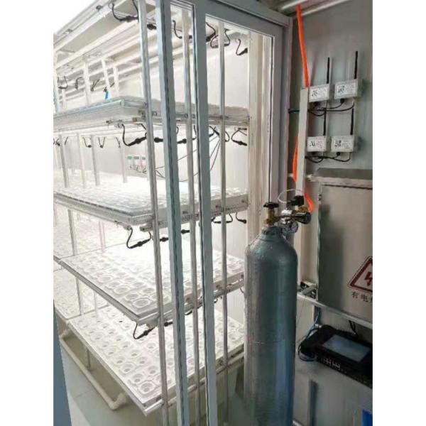 Quality Smart Grow Hydroponic Vertical Farming System Shipping Container Farm Greenhouse for sale