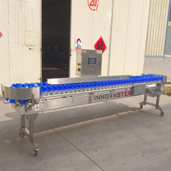Quality Manufacturing Plant Must-Have Multi-function Avocado Machine Weight Sorting for sale