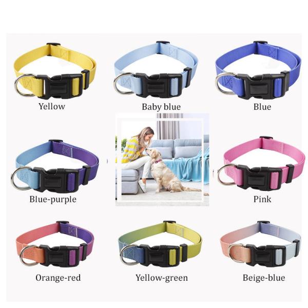 Quality Dog Collar Luxury Gradient Adjustable Reversible Solid Custom Logo Designer for sale