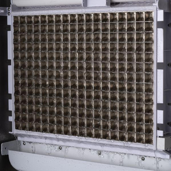 Quality Supermarket Cafe Ice Machines with 620g Filling Capacity and 10.1A Electric for sale