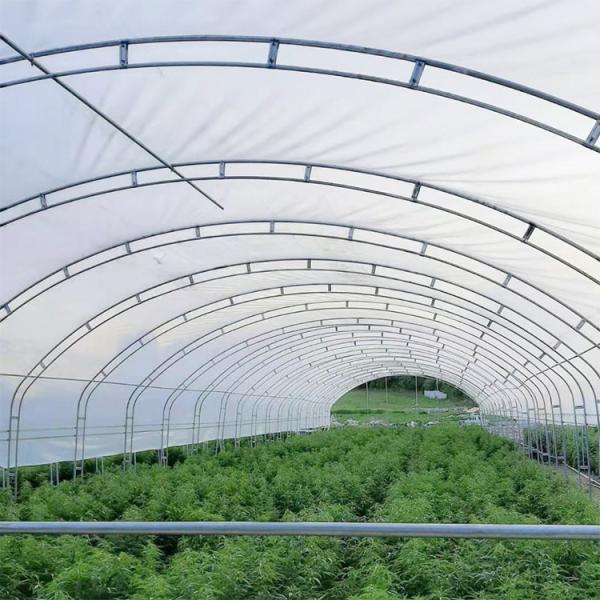 Quality Plastic Film Steel Frame Tunnel Greenhouse for Farm for sale