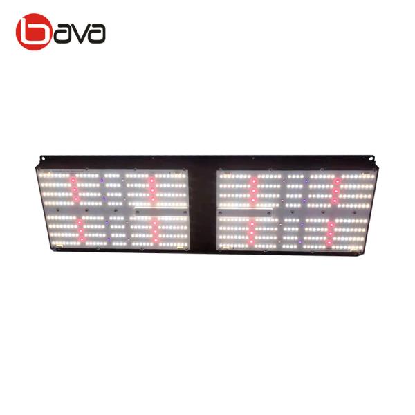 Quality UVA lm301h 240W LED Grow Light AC100-277V Adjustable Spectrum for sale