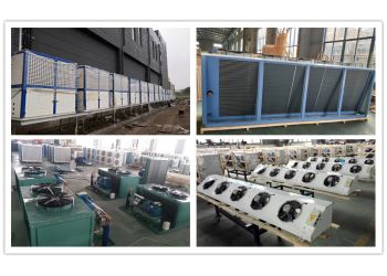 China Factory - Shenzhen Ruifujie Technology Co., Ltd.