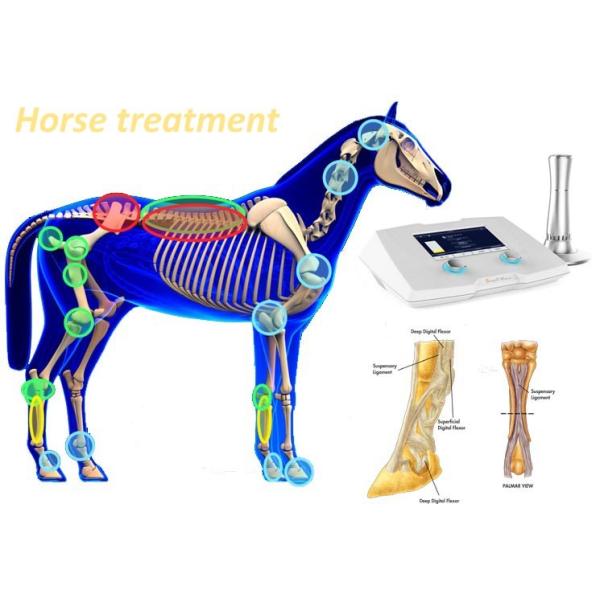 Quality High Pressure Adjustable 1-22Hz Shockwave Machine For Horse Treatment for sale