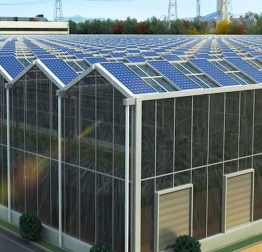 Quality Thermal Insulation Commercial Photovoltaic Greenhouses Customization Option for sale