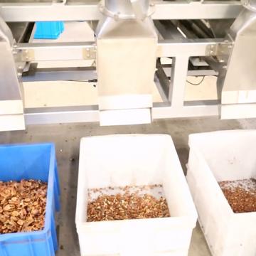Quality 220V 100000 Pieces CE Approved Pecan Shelling Machine Up To 2T Output Each Hour for sale
