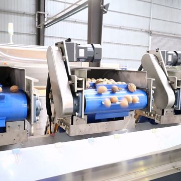 Quality Stainless Steel Food Grade Walnut Shelling Machine 380V 2 Tons Output for sale