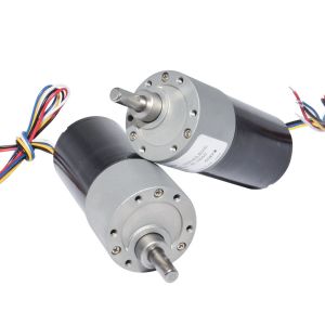 Quality Micro Brushless Worm DC Gear Reduction Motor 12v 24v 100w for sale