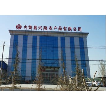 Quality Stemless Dried Red Chilli Peppers Sichuan Chillies 10% Moisture for sale