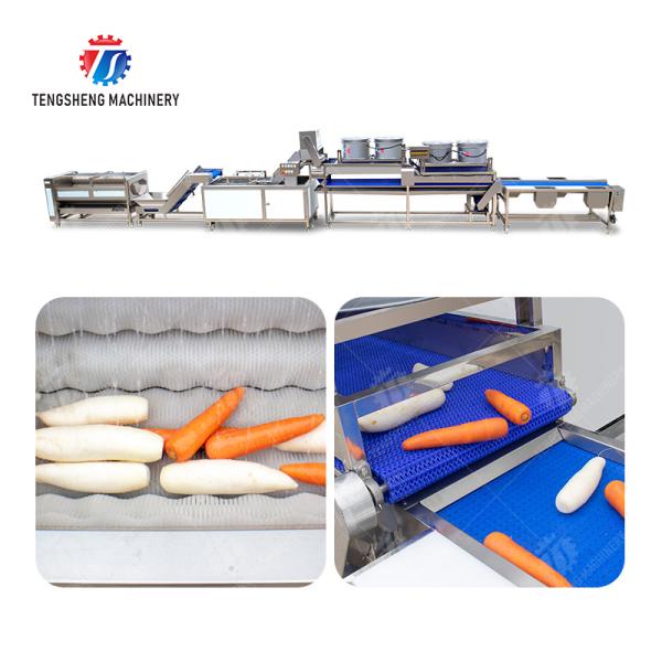 Quality Enhance Your Production with Our State-of-the-Art Fruit And Vegetable Processing for sale