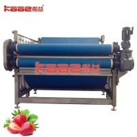 Strawberry Apple Juicing Equipment Line Juice Automatic Maker 2000T/Day